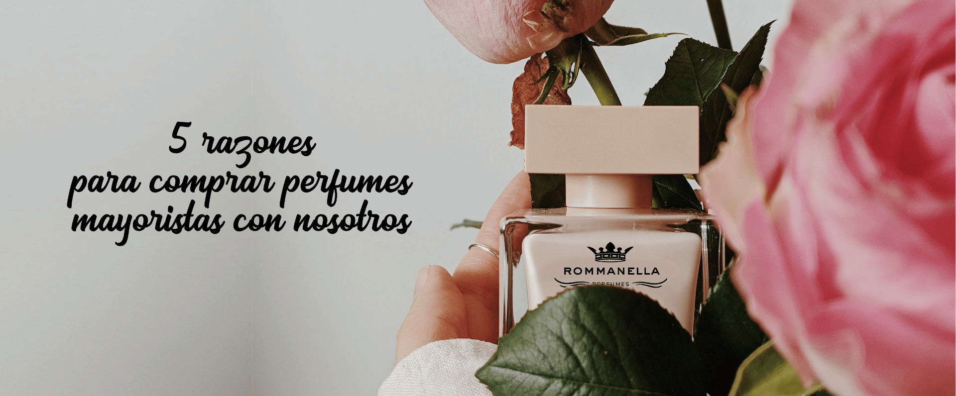 5 razones para elegir comprar perfumes mayoristas en Rommanella ...