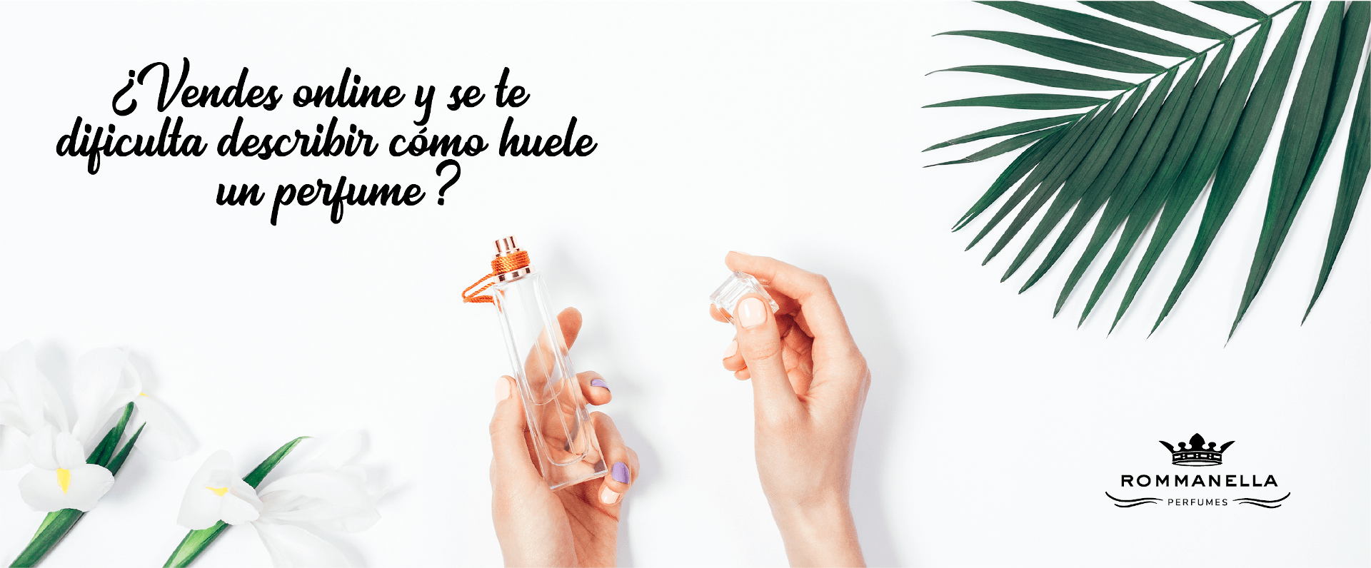 Tips para explicar como huele un perfume online | Rommanella Fragancias